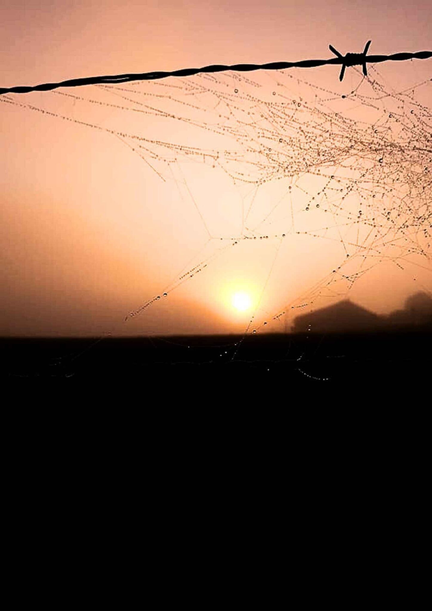 The Prince Alfred Pass - The Prince Alfred Pass Collection