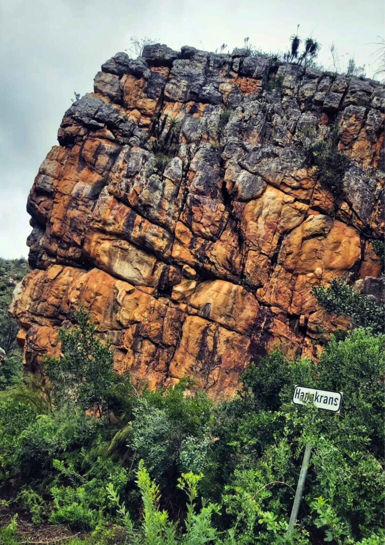 The Prince Alfred Pass - The Prince Alfred Pass Collection