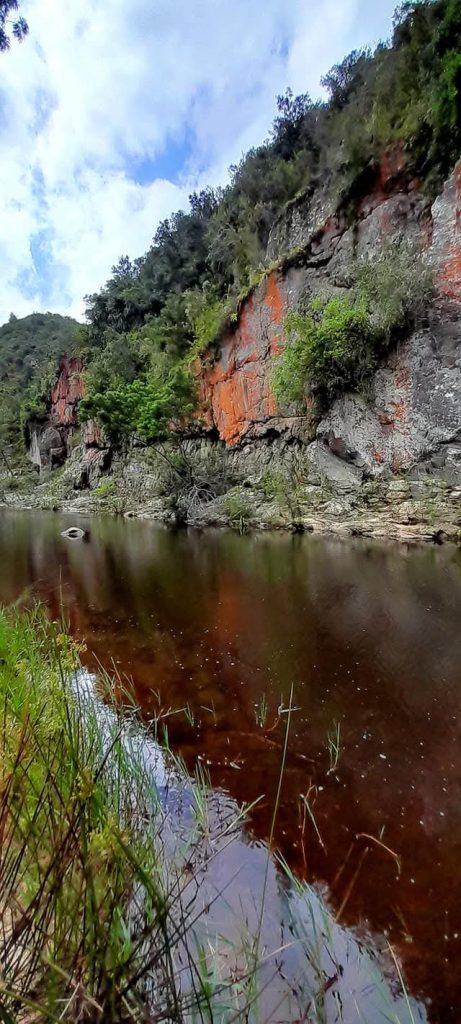 Dana se Vrede Kampgrond - The Prince Alfred Pass Collection